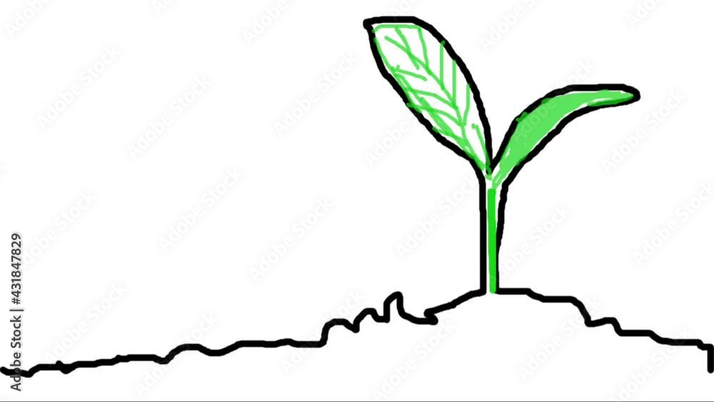 Drawing of small tree growth, drawing of plant with small baby plant ...
