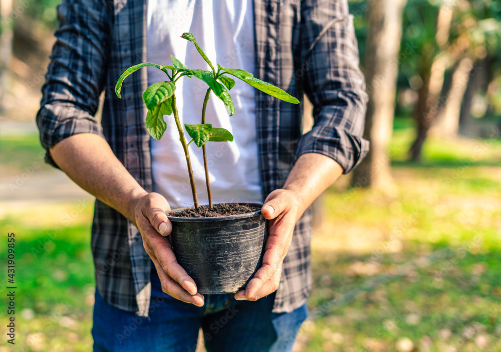 World environment day afforestation nature and ecology concept A young ...