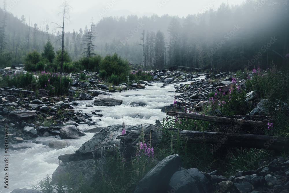 Atmospheric rainy landscape with pink flowers on background of powerful ...