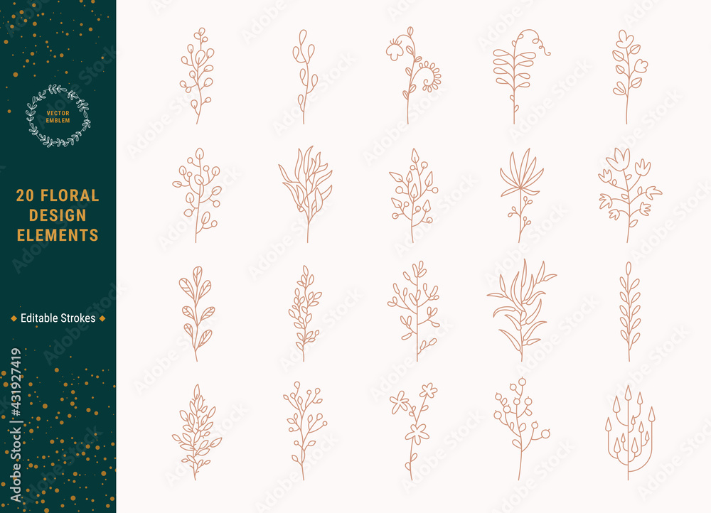 Floral thin line vector illustrations clip art collection. Botanical ...