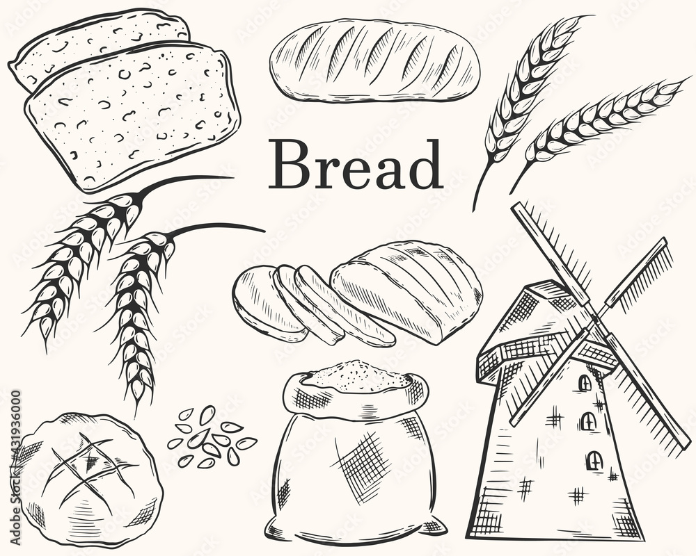 Bread set hand drawing. Sketch. Vector collection of cereal products ...