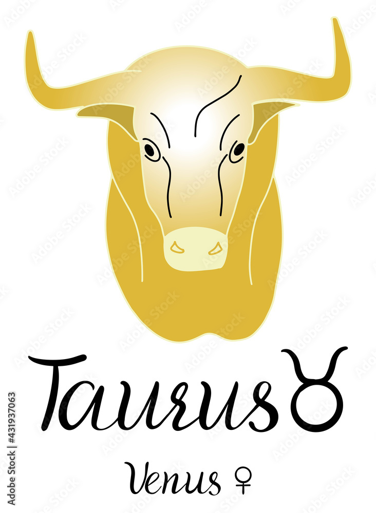 Astrology Taurus zodiac sign. Realistic hand drawing bull head Stock ...
