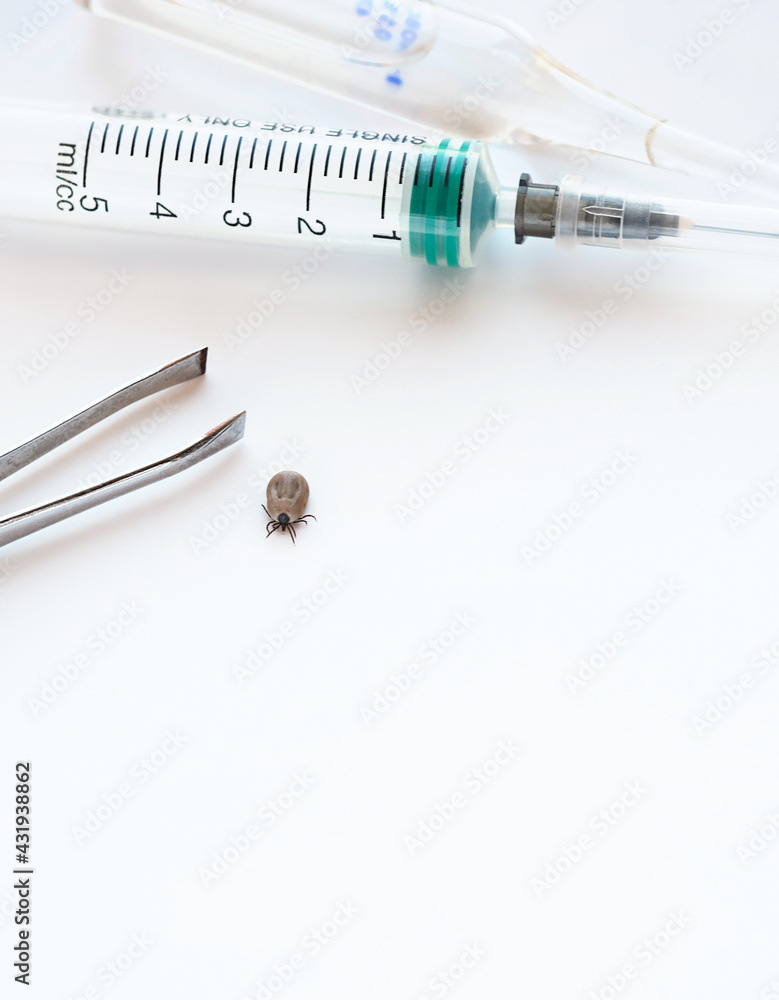 syringe needle, tweezer and dangerous tick on white background. Black ...