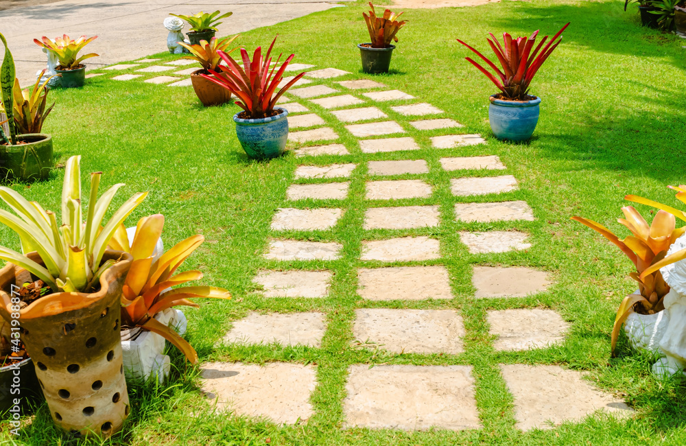 Garden landscape design with a walkway cut with green lawns and potted ...