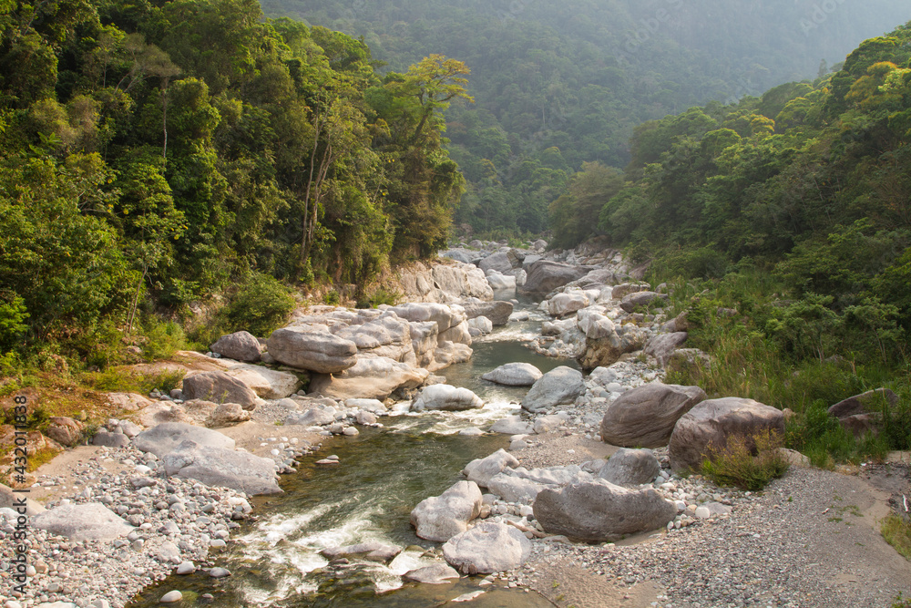 The Cangrejal River as it flows between Pico Bonito National Park and ...