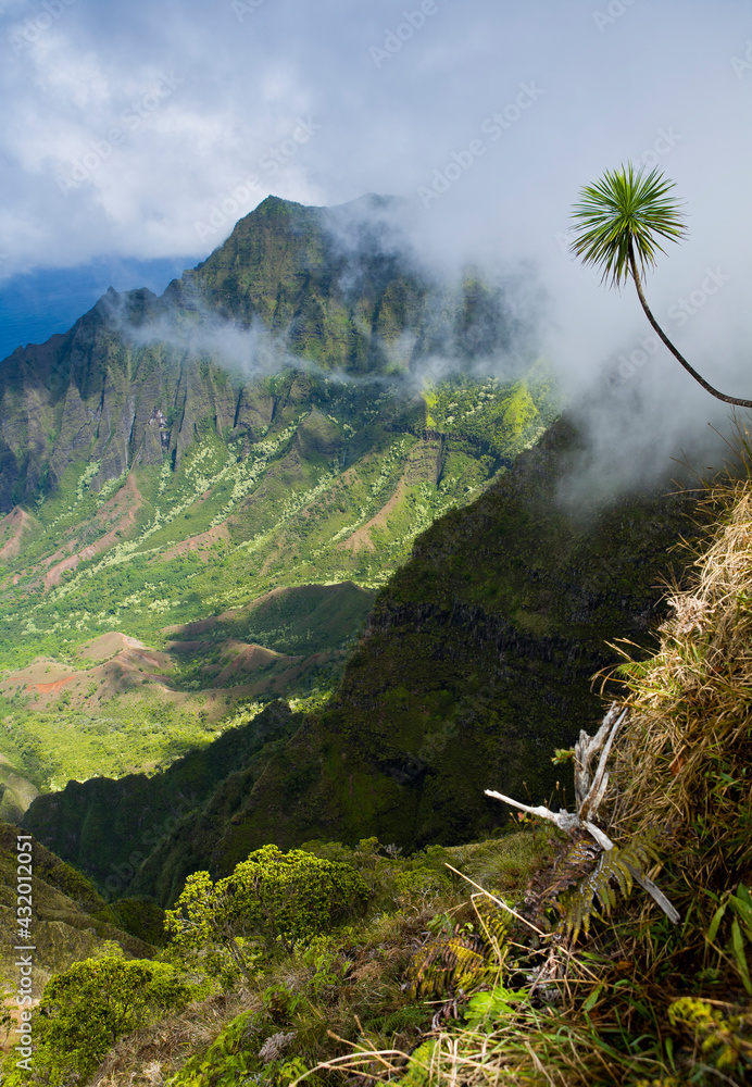 Views of Kalalau Valley from Kalalau Lookout - high above the ocean in ...