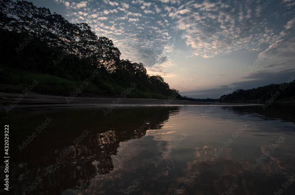 In the Amazon Basin of the Peruvian Rain forest located in the buffer ...