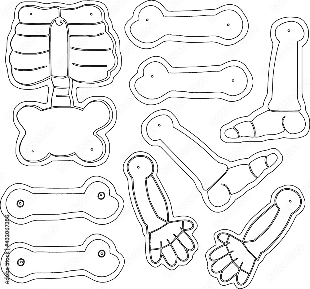 Esqueleto Armable Stock Vector | Adobe Stock