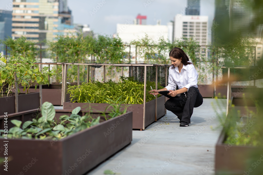 Portrait of female gardener working in Rooftop vegetable garden at the ...