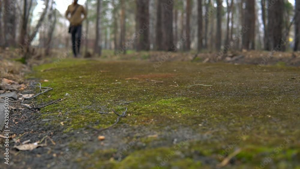 Man walking through forest park. Hiking mossed asphalt path in slow ...