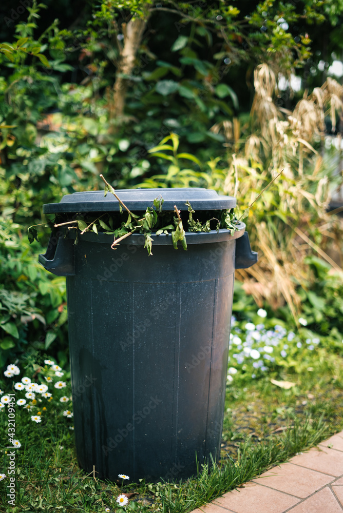 Full greenery bin in a garden. Green lid bin with branches and leaves ...