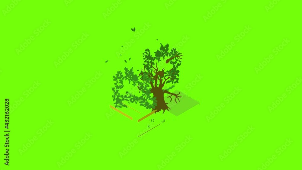 Oak icon animation cartoon object on green screen background Stock ...