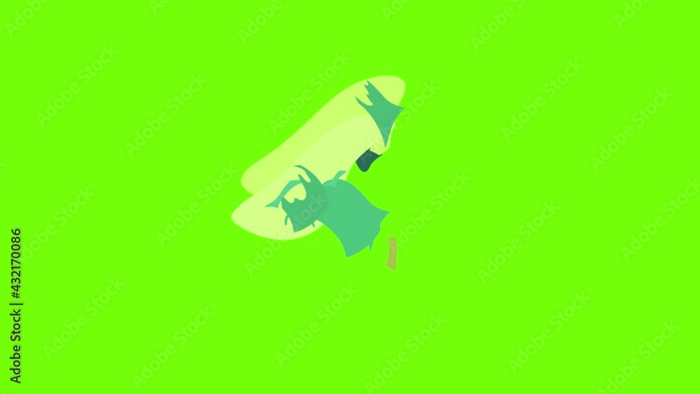 Summer shoe icon animation cartoon object on green screen background ...