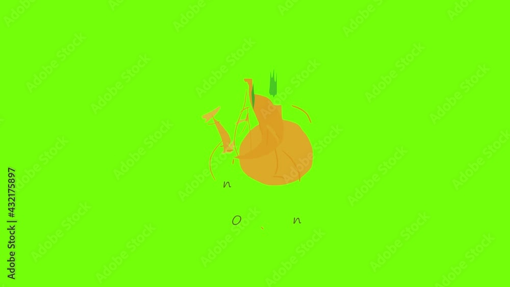 Onion icon animation cartoon object on green screen background Stock ...