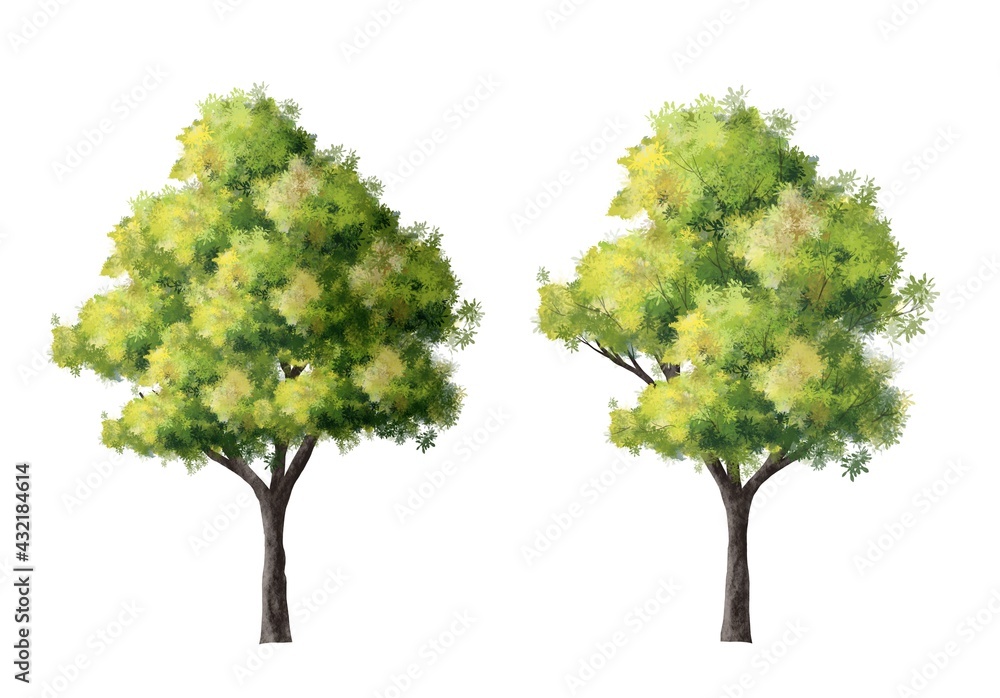 Collection of abstract watercolor tree side view isolated on white ...