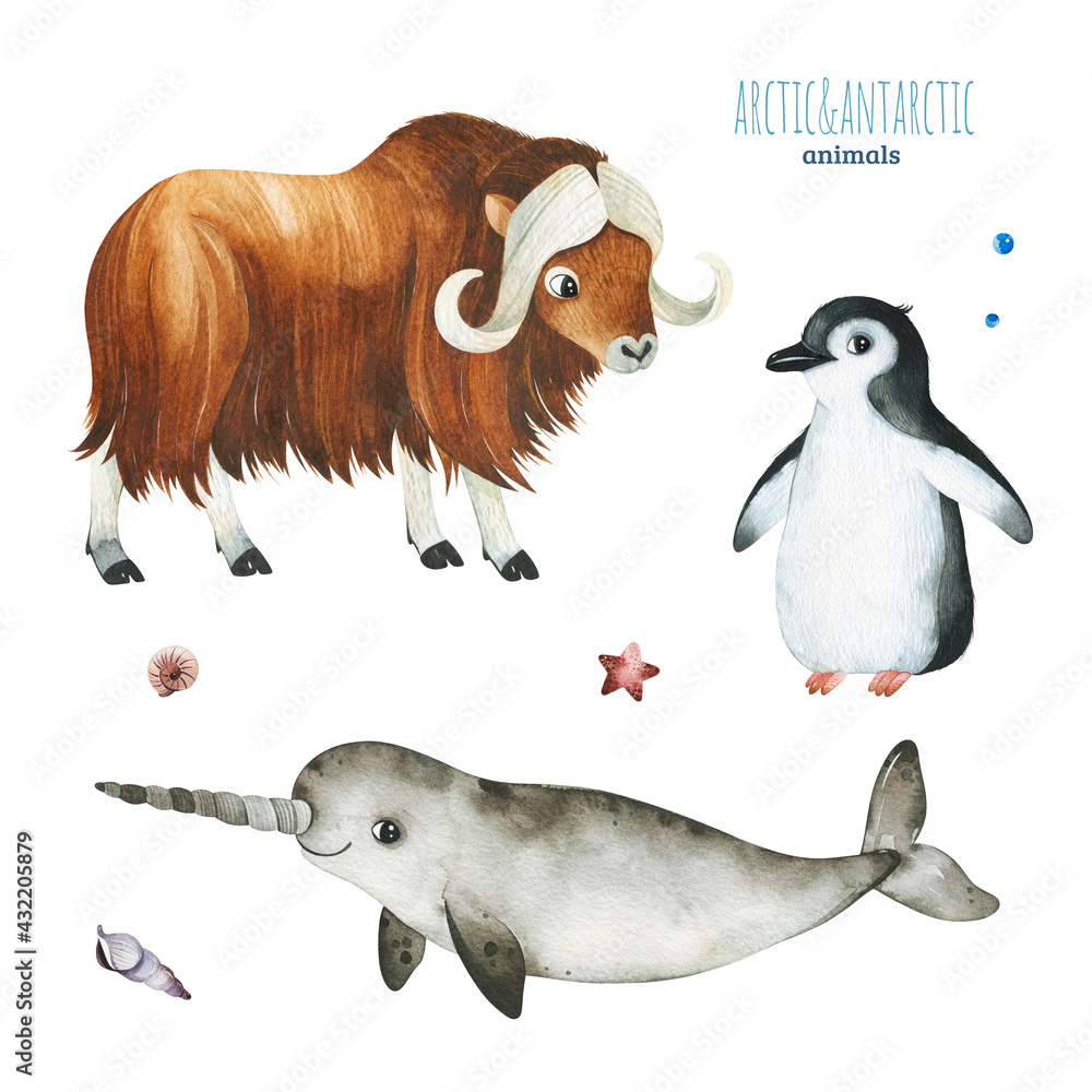 Watercolor set with cute narwhal, musk ox, penguin.Cartoon arctic and ...