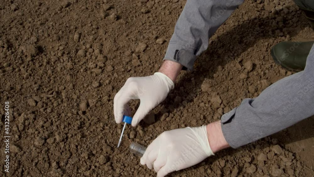 agronomist collecting sample for laboratory analysis, close-up view of ...