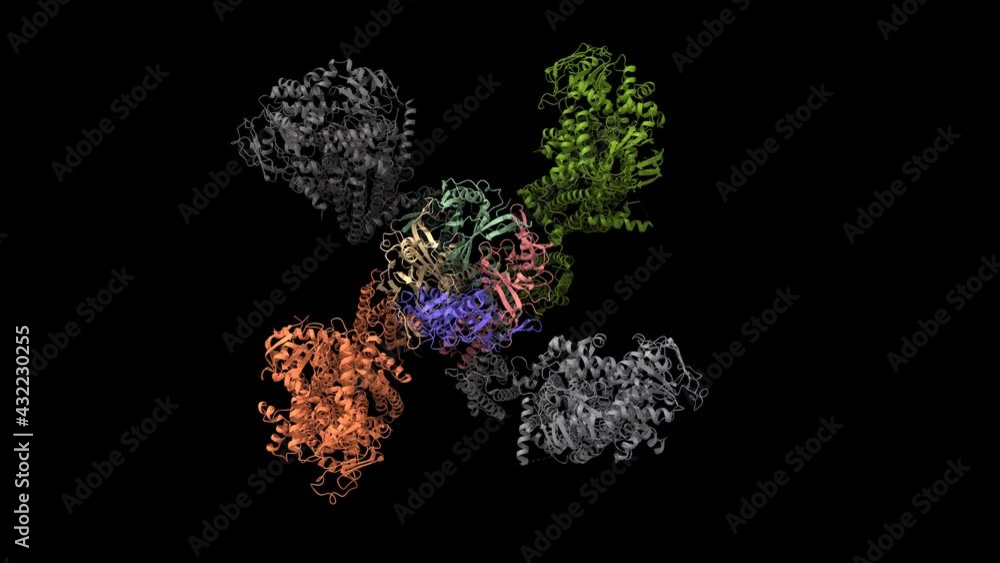Structure of human KATP bound to ATP and ADP in propeller form, 3D ...