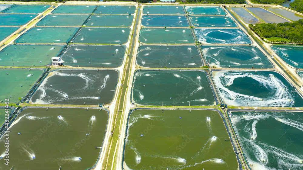 Aerial View Of The Prawn Farm With Aerator Pump Bohol Philippines