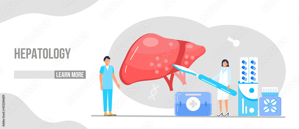 Hepatology concept vector for medical website, landing page. Concept of ...