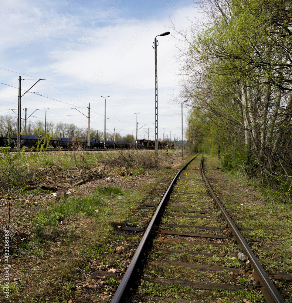Polska karków zalew bagry wiosenne obrazki Stock Photo | Adobe Stock