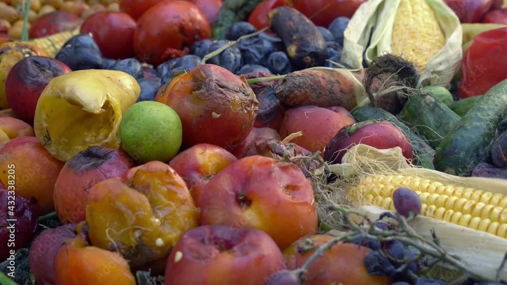 Foto de Spoiled fruits and vegetables. Food loss and Food Waste on the ...