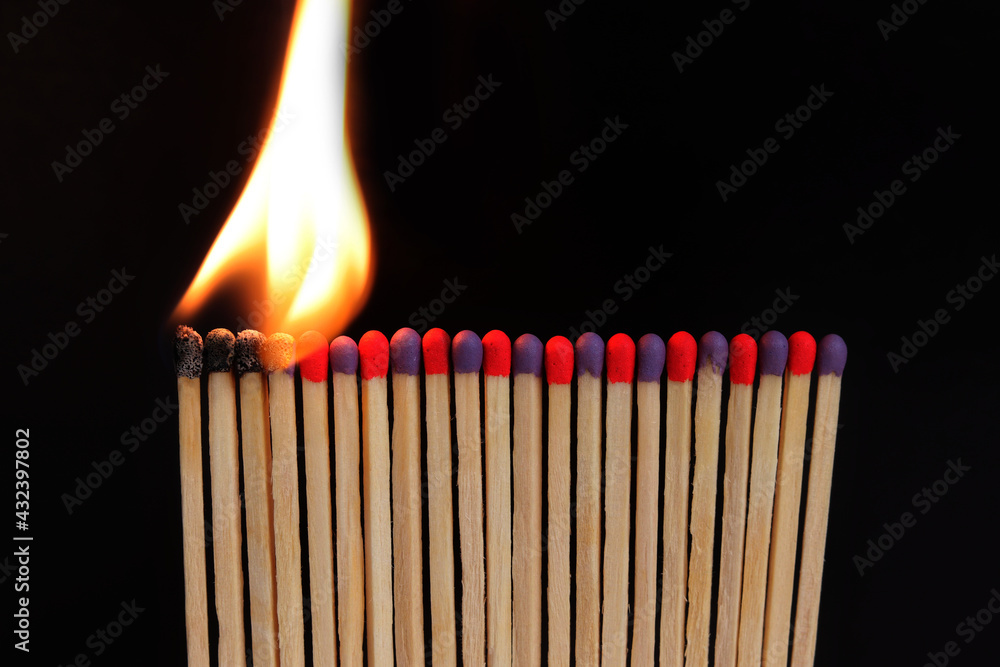 The matches standing next to each other are lit by fire one after the ...