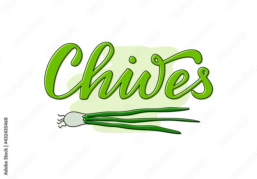 Vector illustration of chives lettering for packages, product design ...