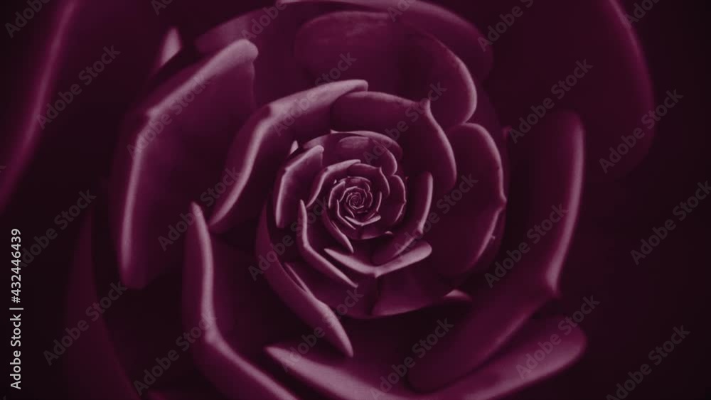 Abstract realistic rotating shape of a flower bud, seamless loop ...