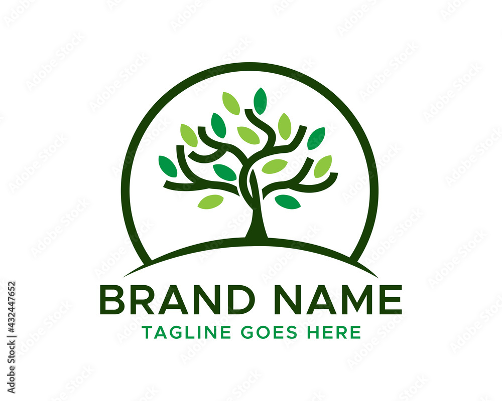 Tree logo icon template design. Round garden plant natural line symbol ...