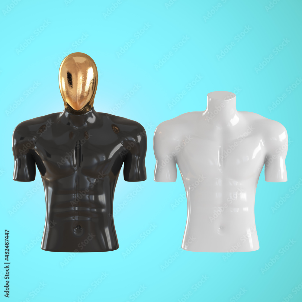 Black male plastic torso with a golden head and a white headless torso ...