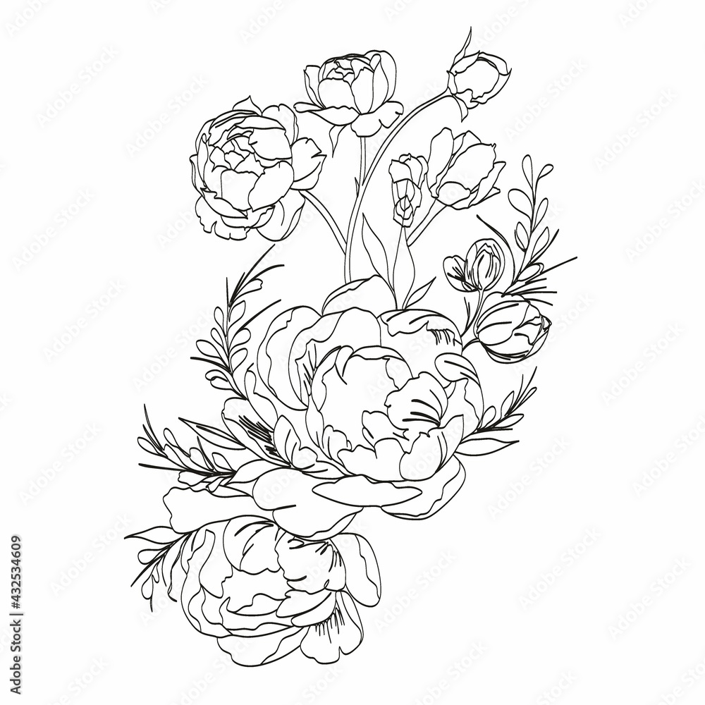 Peony Line drawing. Flower Line art vector. Peonies Botanical logo ...
