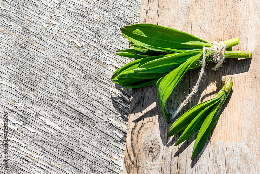 Foto de Fresh green leaves ramson on a wooden table. Young shoots of ...