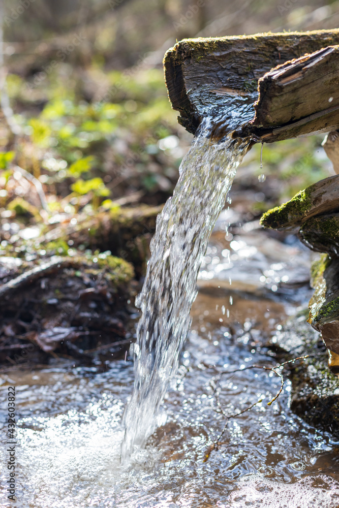 An ancient wellspring with clean drinking water in the forest. A pure ...