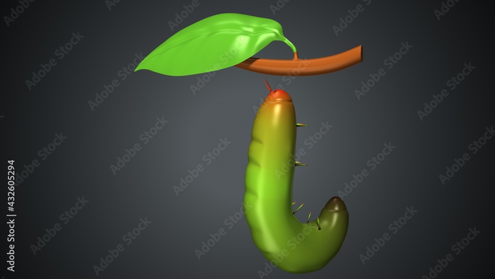 3d illustration of butterfly life cycle stages anatomy. Stock ...