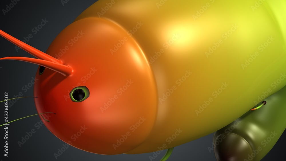 3d illustration of butterfly life cycle stages anatomy. Stock ...