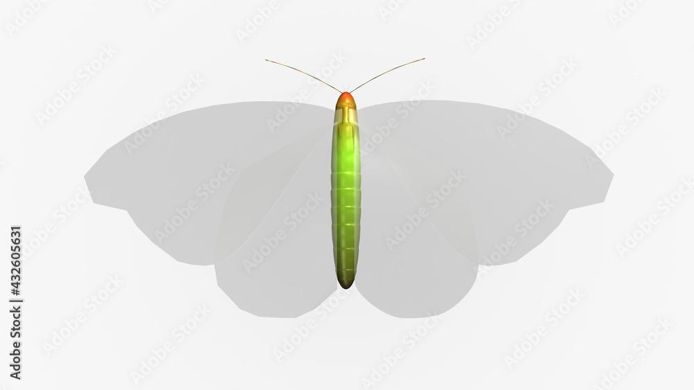 3d illustration of butterfly life cycle stages anatomy. Stock ...