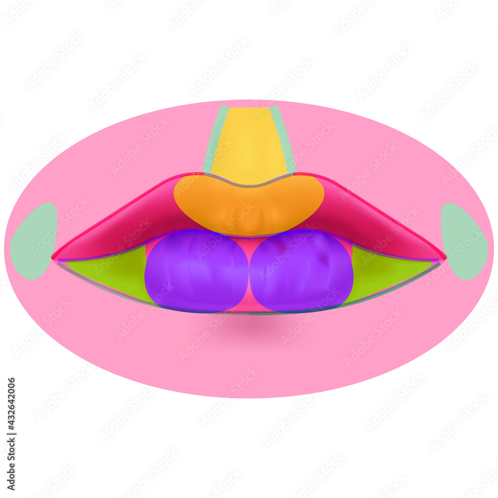 lip anatomy. Highlighted areas. Diagram in cosmetology. Vector ...