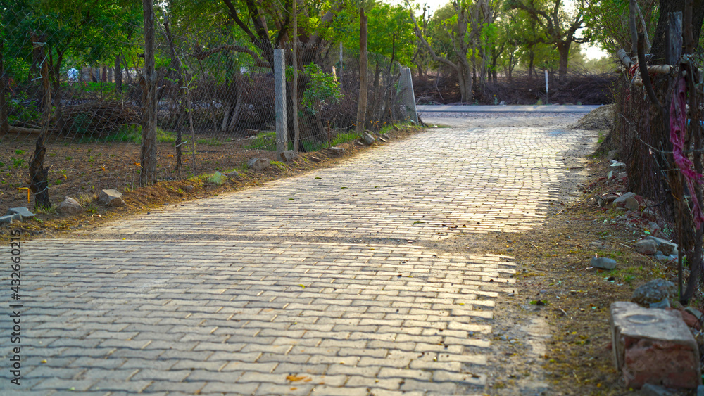 Construction or lay on ground at outdoor for road, street, pavement ...