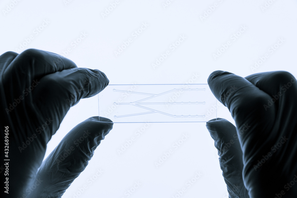 Organ on chip OOC and lab on chip LOC - microfluidic device chip that ...