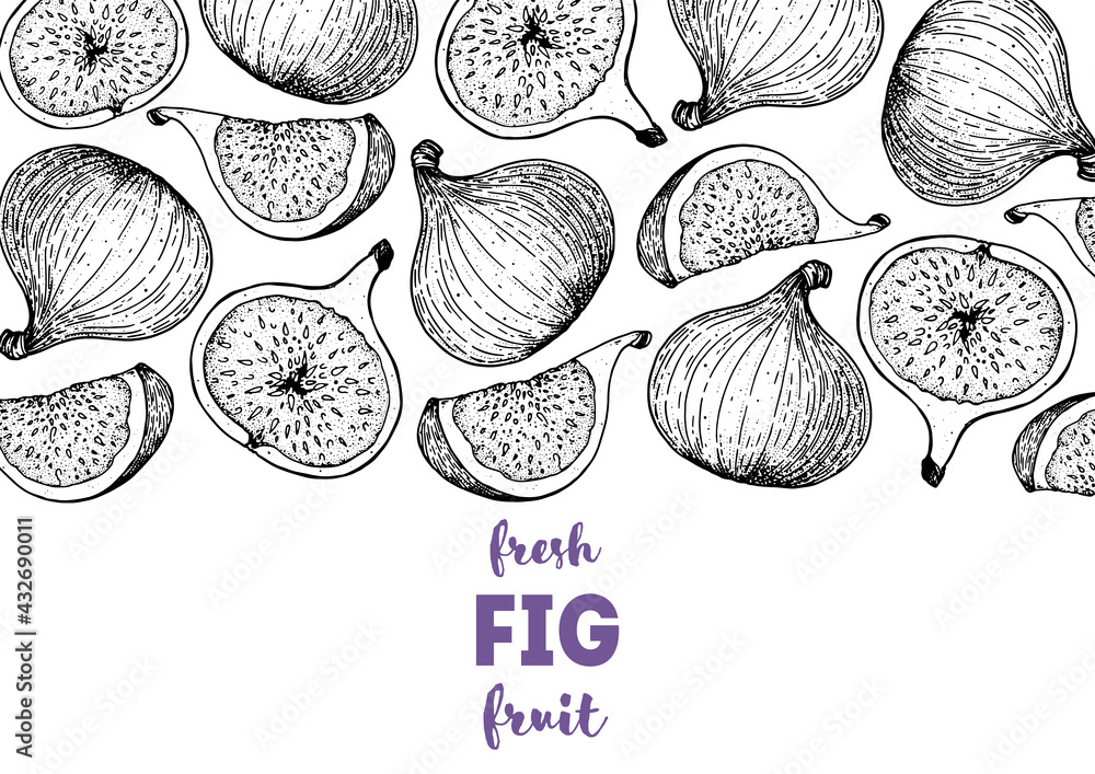 Fig fruit hand drawn package design. Vector illustration. Design ...