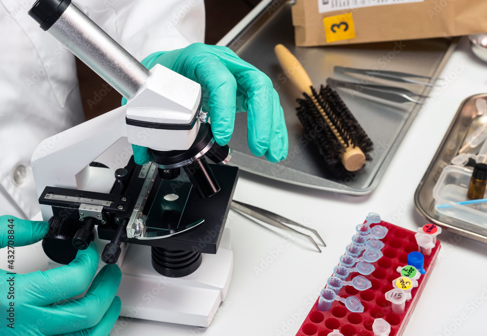 police scientist examines victim's hair under microscope in crime lab ...