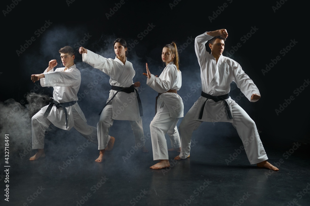 Karate fighters in kimono poses in combat stances Stock Photo | Adobe Stock