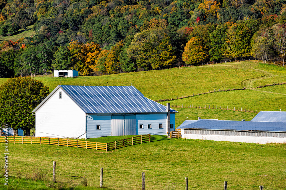 Agricultural industrial poultry house building by shed barn on farm at ...
