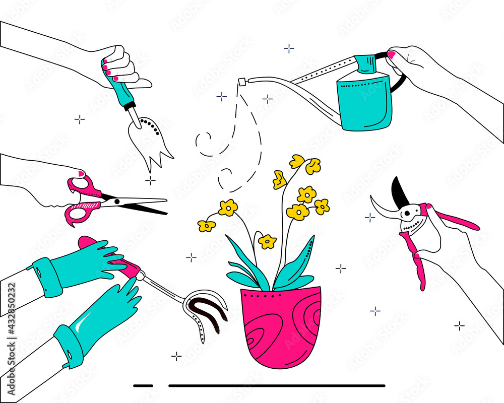 Hands hold gardening tools and take care of plant in a pot. Growing and ...