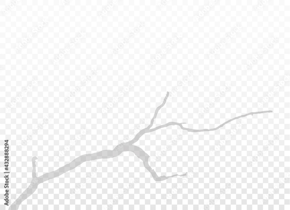 Tree branch, snag, bare tree silhouette isolated on transparent ...