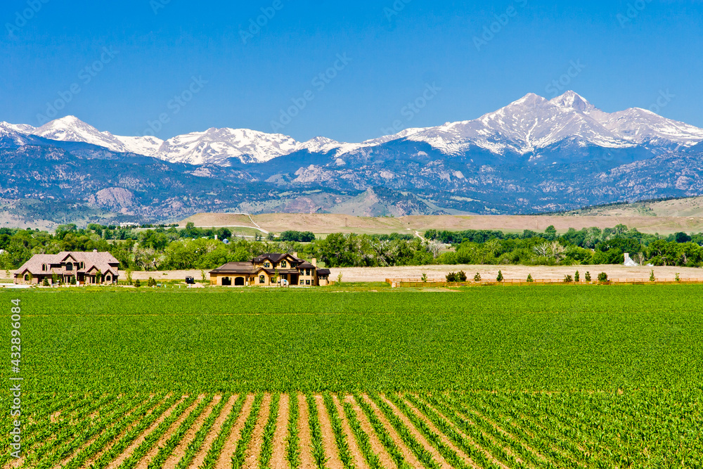 Luxury farm homes sit between corn field rows and Indian Peaks in ...