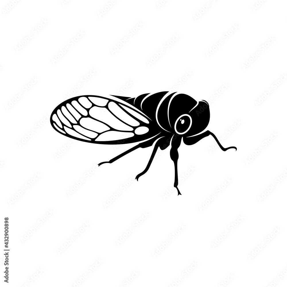 Cicada design vector illustration, Creative Cicada logo design concept ...