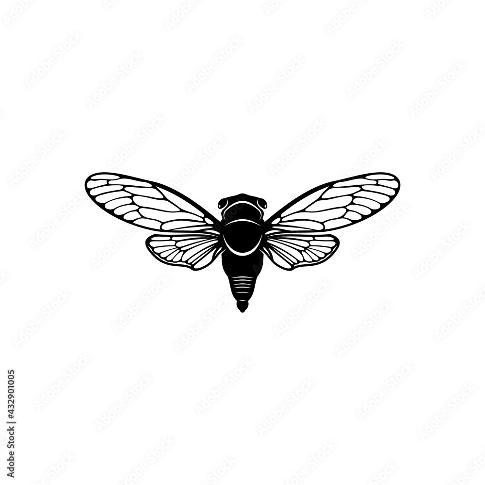 Cicada design vector illustration, Creative Cicada logo design concept ...