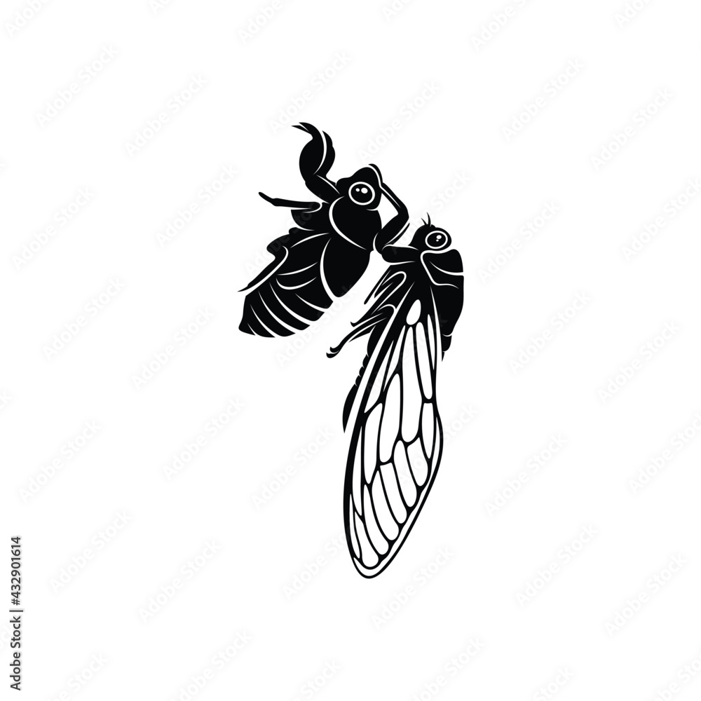 Cicada design vector illustration, Creative Cicada logo design concept ...